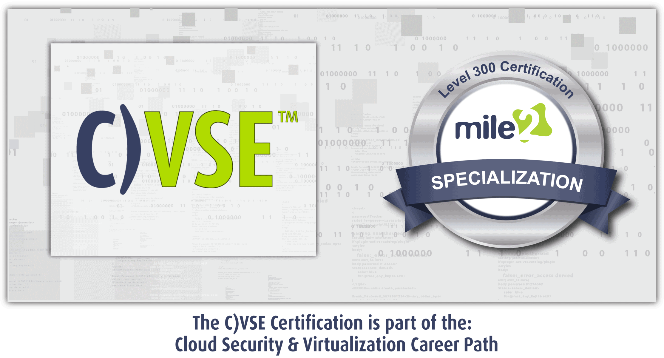 C)VSE: Certified Virtualization Systems Engineer (EK) - Mile2 ...